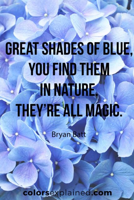 72 Quotes About Blue to Soothe Your Day (2026) • Colors Explained