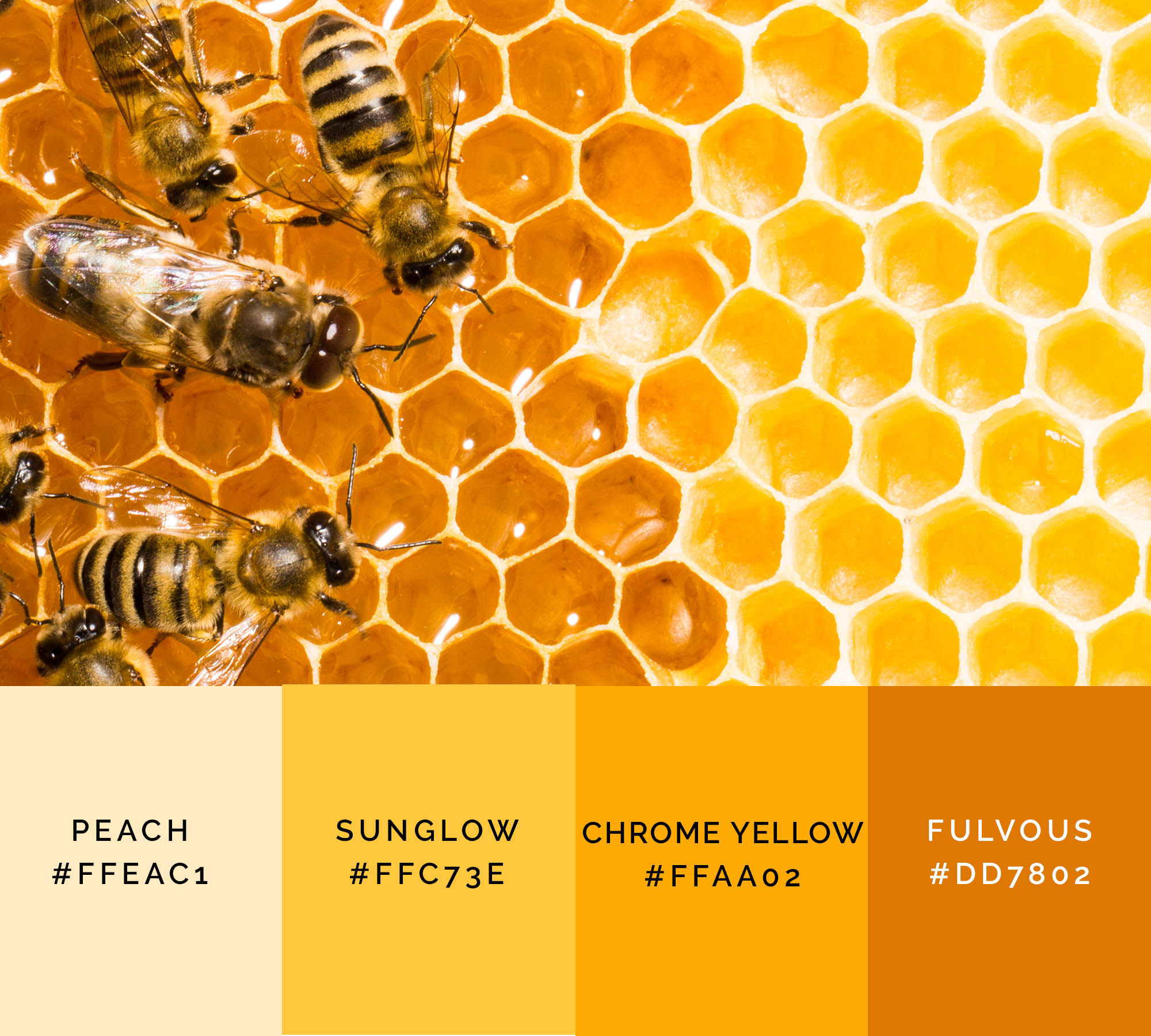 99 Shades of Yellow Color with Names, HEX, RGB, & CMYK (2024) • Colors ...