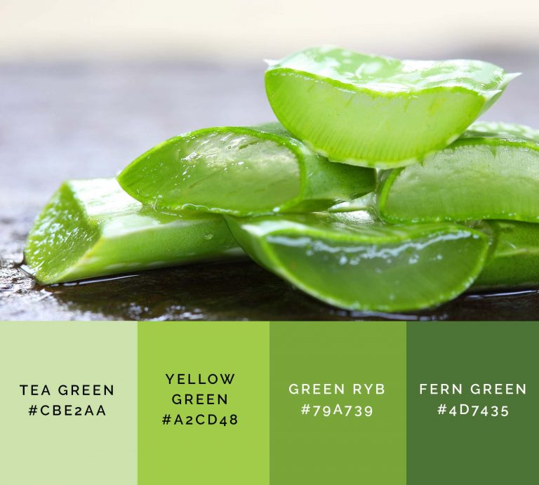 99 Shades of Green Color with Names, HEX, RGB, & CMYK