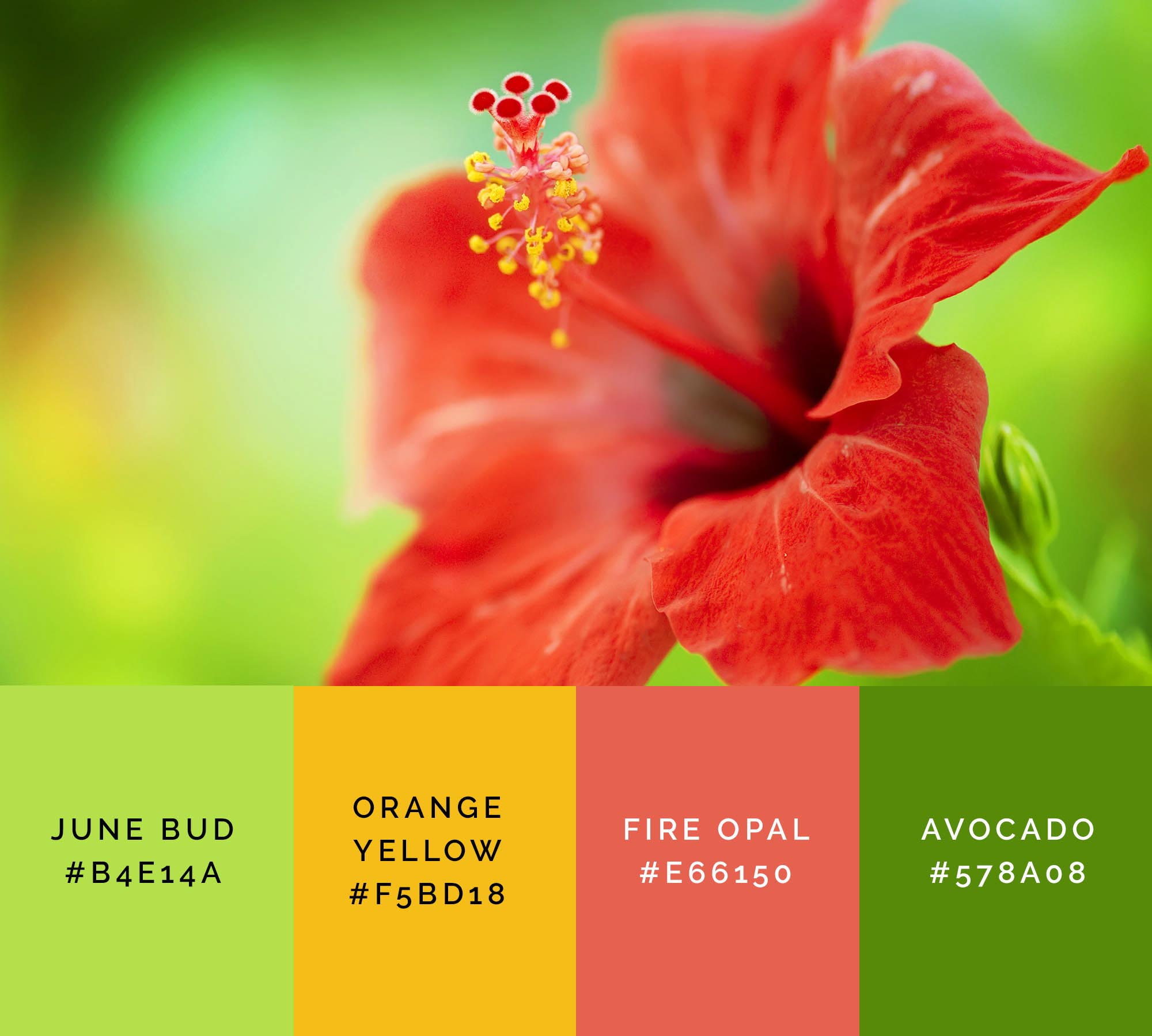 99 Shades of Green Color with Names, HEX, RGB, & CMYK
