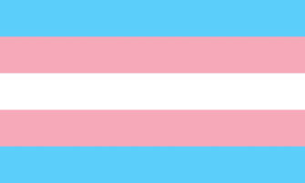 24 LGBTQ+ Pride Flags' Color Meanings: All Pride Flags Explained
