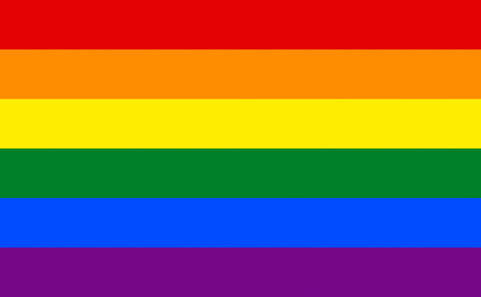 24 LGBTQ+ Pride Flags' Color Meanings: All Pride Flags Explained