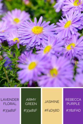 99 Shades of Purple Color with Names, HEX, RGB, & CMYK (2022) • Colors ...