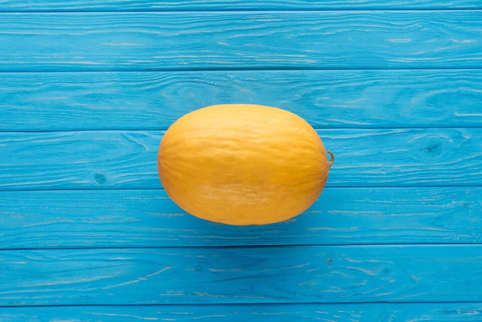 Yellow Things: 101 Things That Are Yellow In Nature [2021]
