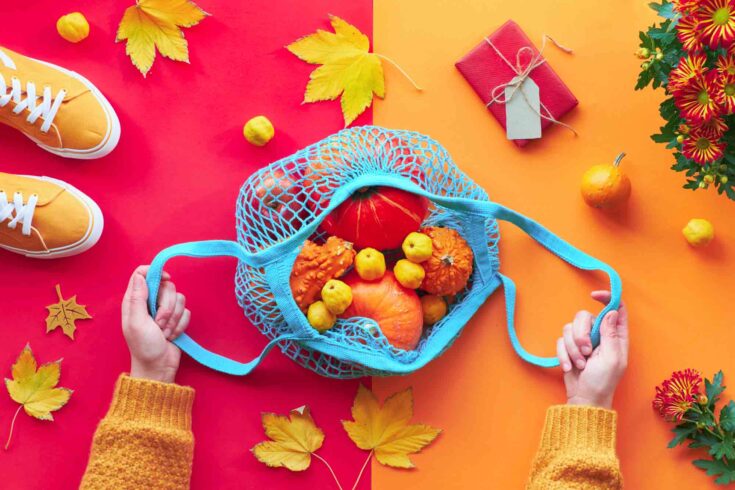 Split Complementary Colors – How to Master This Simple Color Scheme ...