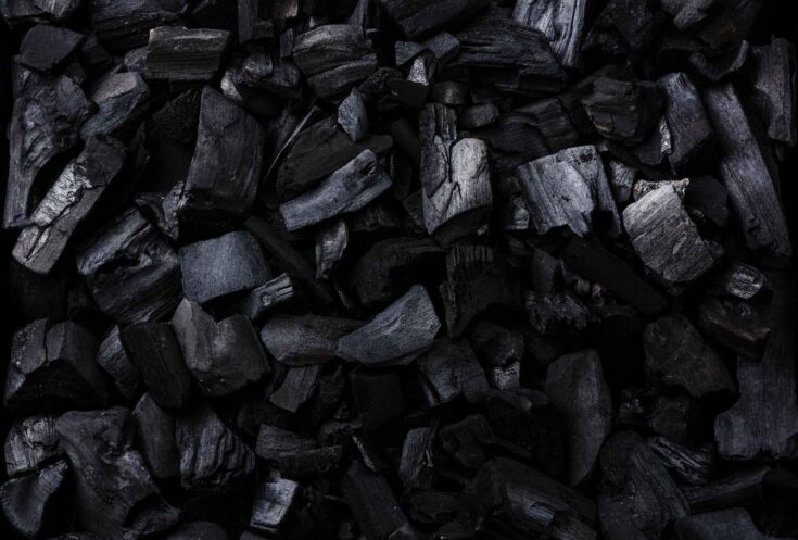 Black Things: 102 Things That Are Black in Nature (2024) • Colors Explained