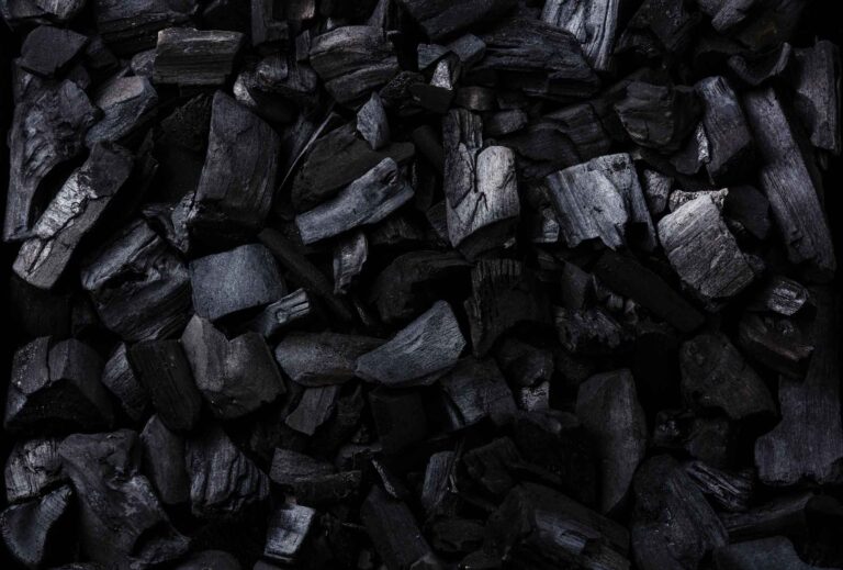 Black Things: 102 Things That Are Black in Nature (2024) • Colors Explained