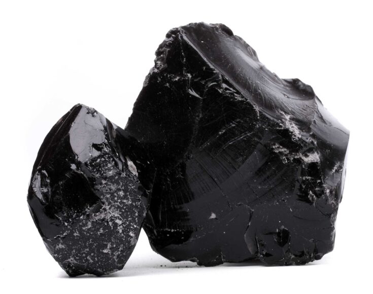 Black Things: 102 Things That Are Black in Nature (2024) • Colors Explained