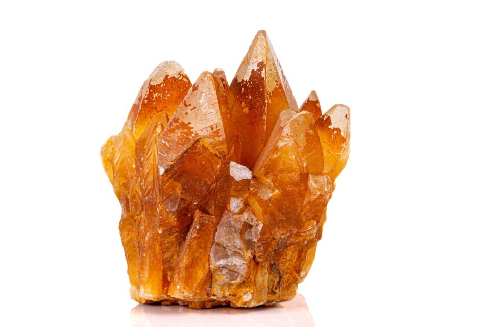 Orange Things: 105 Things That Are Orange in Nature • Colors Explained