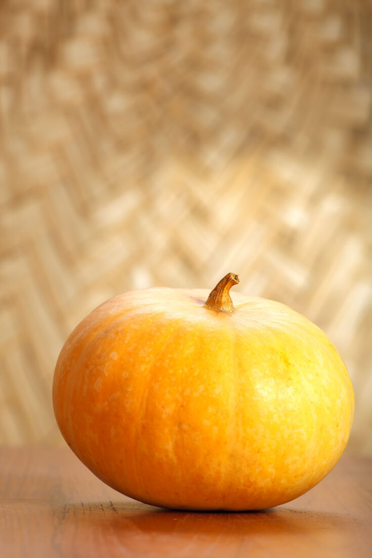 11 Incredible Pumpkin Colors for Cooking and Fall Decorating (2022)