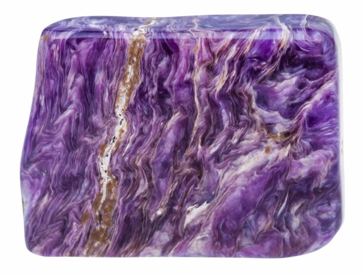 Purple Things: 103 Things That Are Purple in Nature (2022) • Colors ...