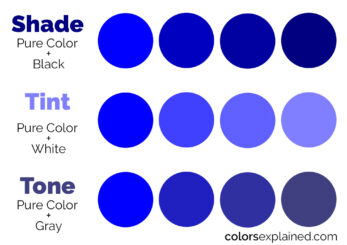 Color Theory 101: A Complete Color Guide (2025) • Colors Explained