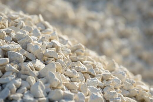 White Things: 103 Things That Are White in Nature (2022) • Colors Explained