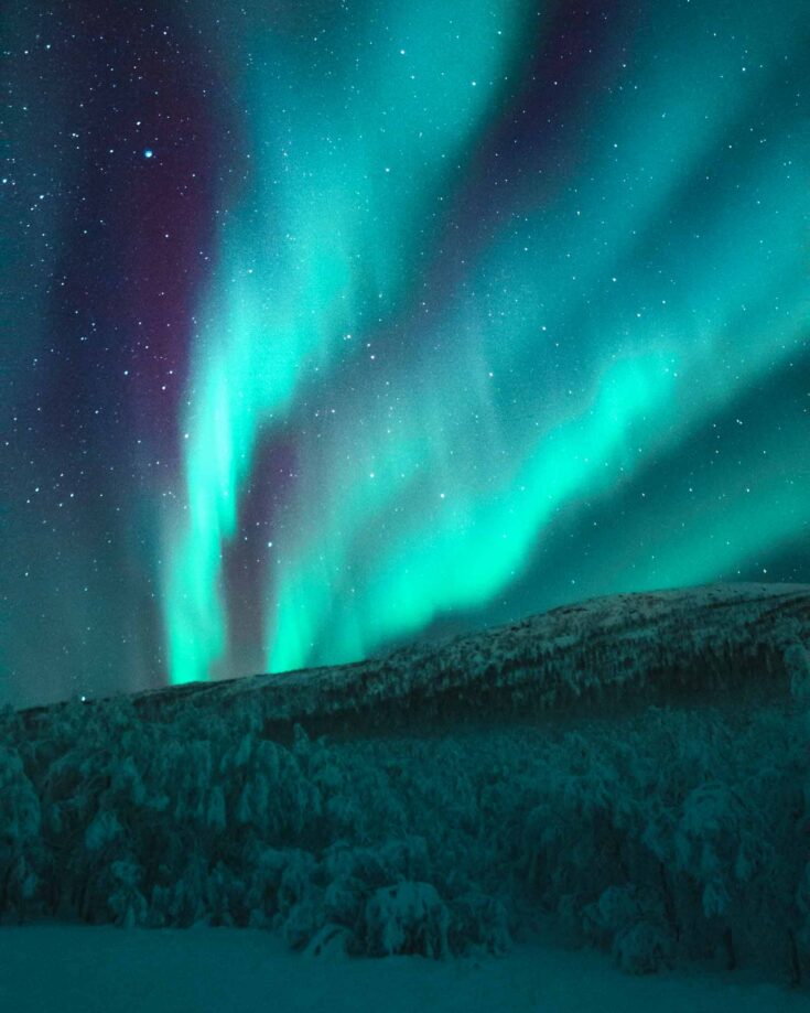 Teal Things: 26 Things That Are Teal in Nature (2022) • Colors Explained