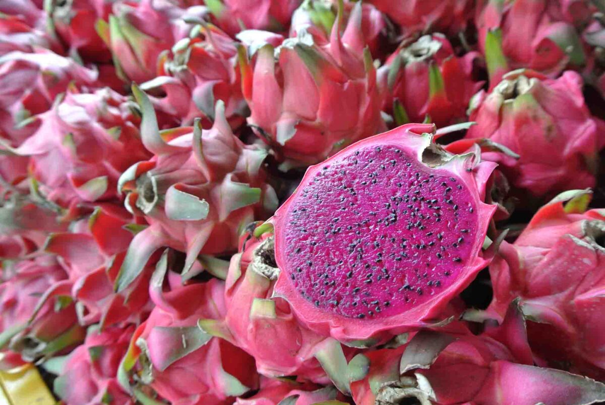12 Delicious Purple Fruits To Add To Your Diet (2022) • Colors Explained